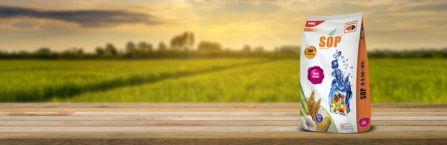 SOP - Granular | FMC Ag Pakistan